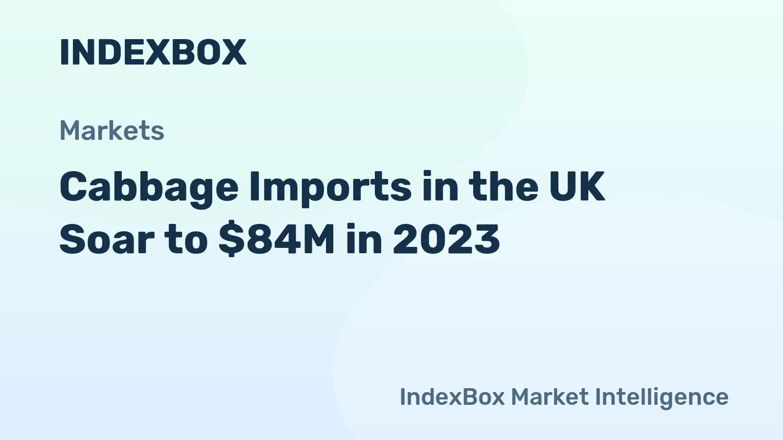 Cabbage Imports in the UK Soar to $84M in 2023