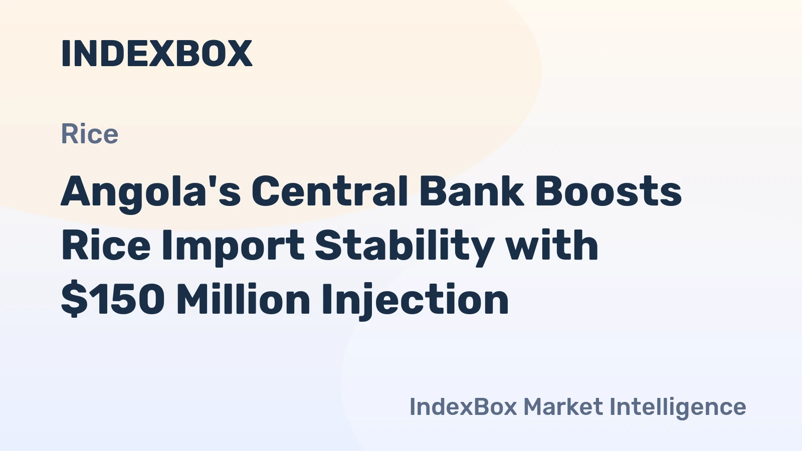 Angola's Central Bank Boosts Rice Import Stability with $150 Million Injection