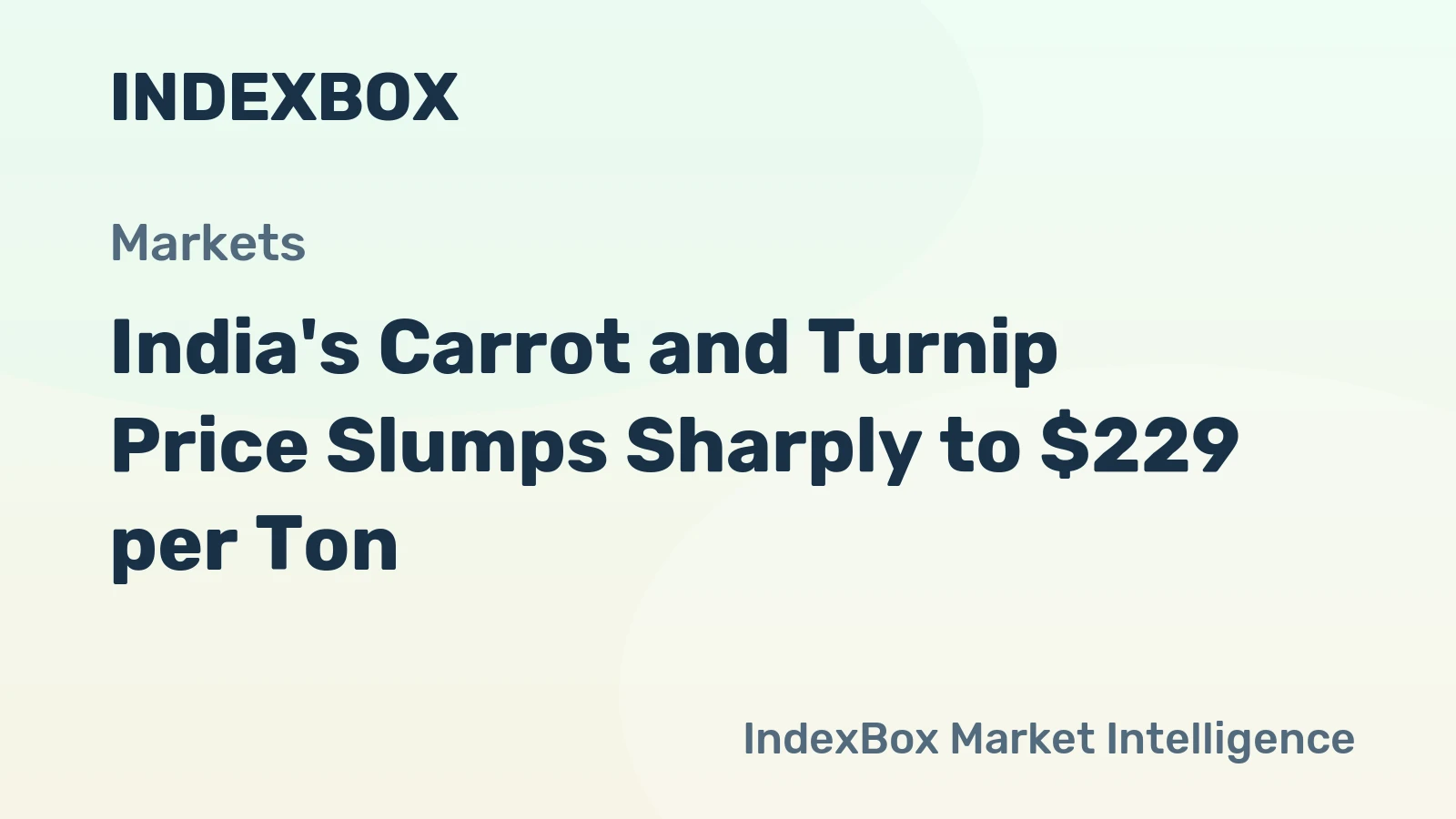 India's Carrot and Turnip Price Slumps Sharply to $229 per Ton