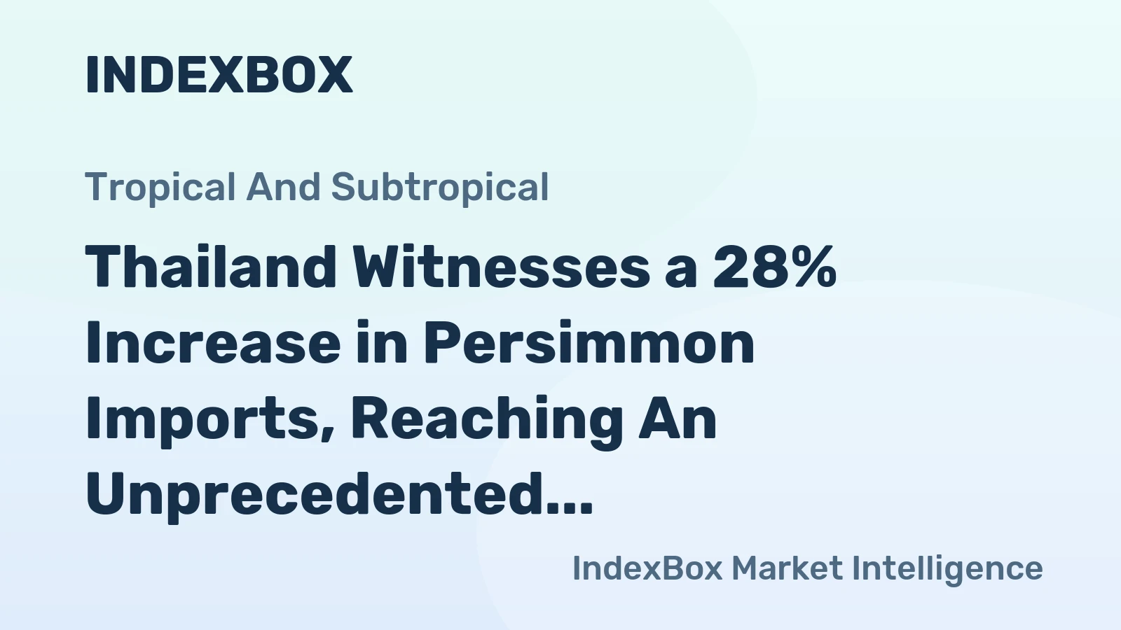 Thailand Witnesses a 28% Increase in Persimmon Imports, Reaching An Unprecedented $22 Million in 2024