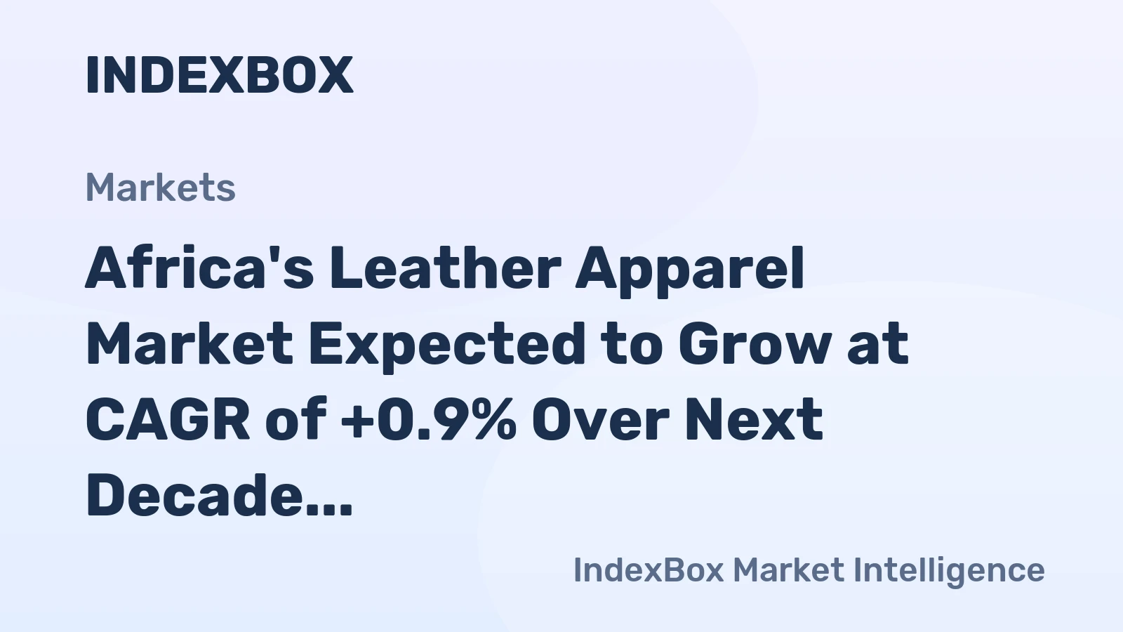 Africa's Leather Apparel Market Expected to Grow at CAGR of +0.9% Over Next Decade