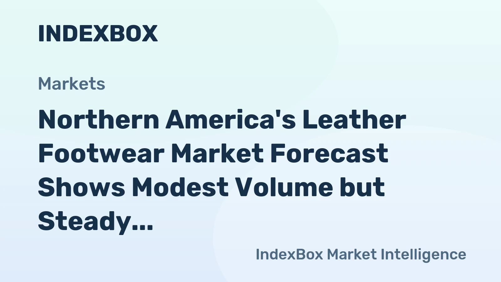 Northern America's Leather Footwear Market Forecast Shows Modest Volume but Steady Value Growth With a 2.2% CAGR