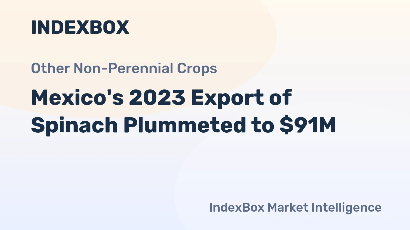 Mexico's 2023 Export of Spinach Plummeted to $91M