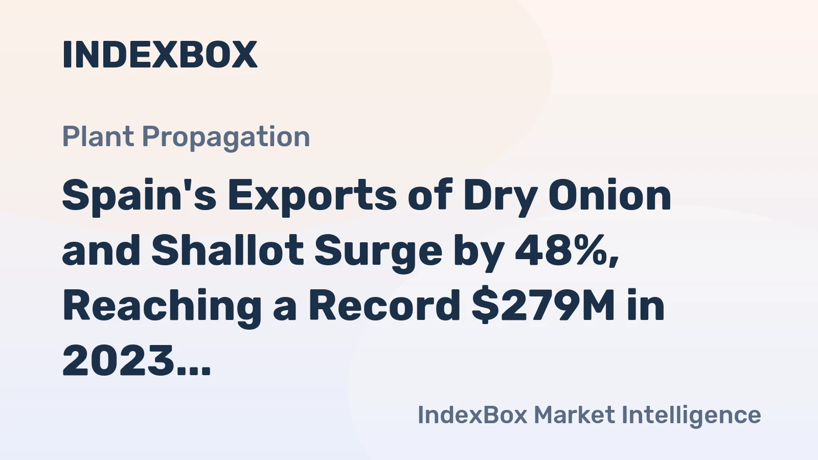 Spain's Exports of Dry Onion and Shallot Surge by 48%, Reaching a Record $279M in 2023