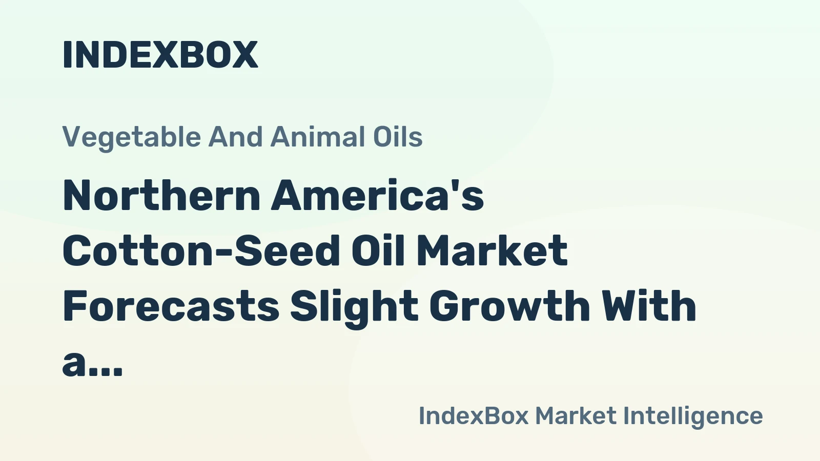Northern America's Cotton-Seed Oil Market Forecasts Slight Growth With a +0.5% Volume CAGR