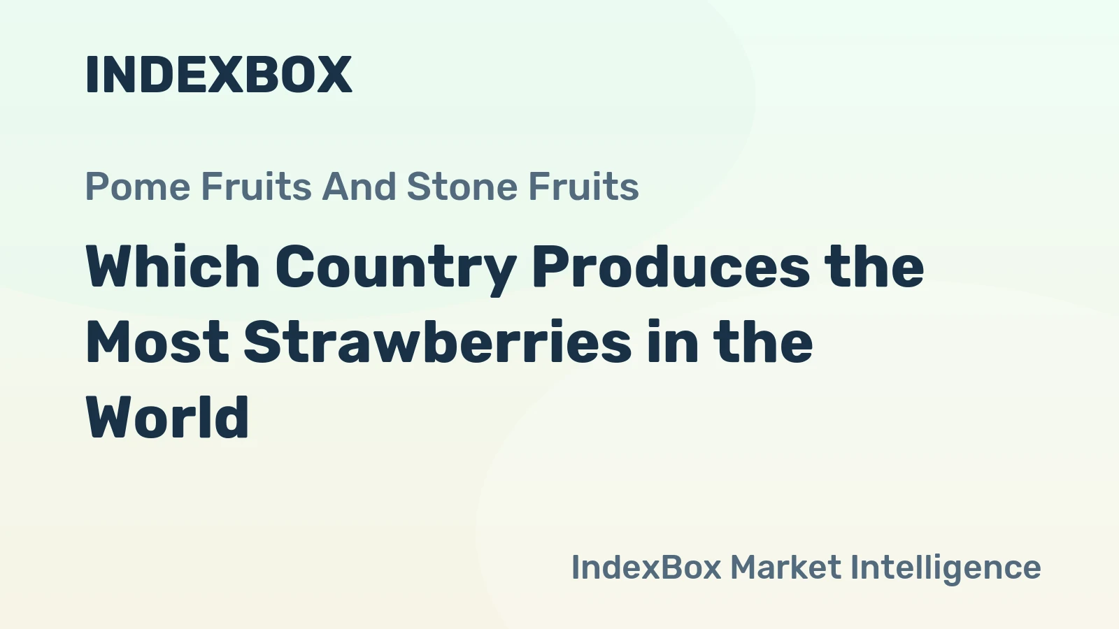 Which Country Produces the Most Strawberries in the World?