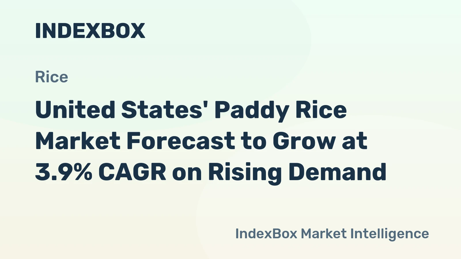United States' Paddy Rice Market Forecast to Grow at 3.9% CAGR on Rising Demand