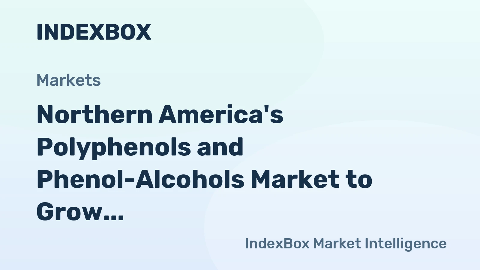 Northern America's Polyphenols and Phenol-Alcohols Market to Grow at CAGR of +3.8% from 2024 to 2035