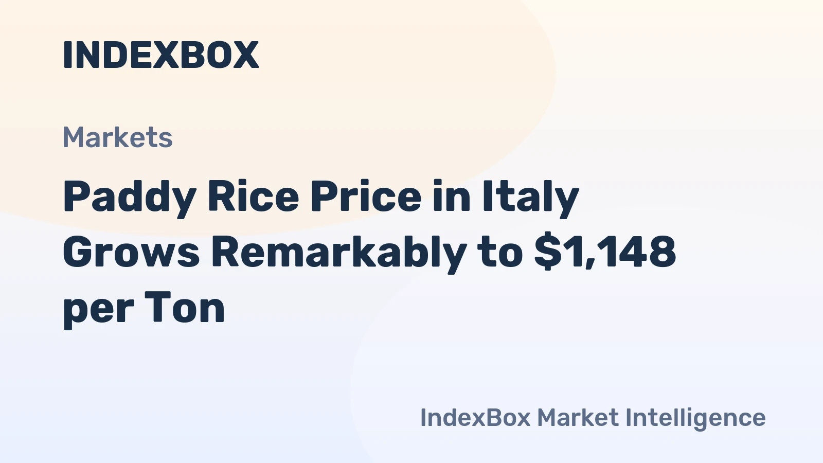 Paddy Rice Price in Italy Grows Remarkably to $1,148 per Ton