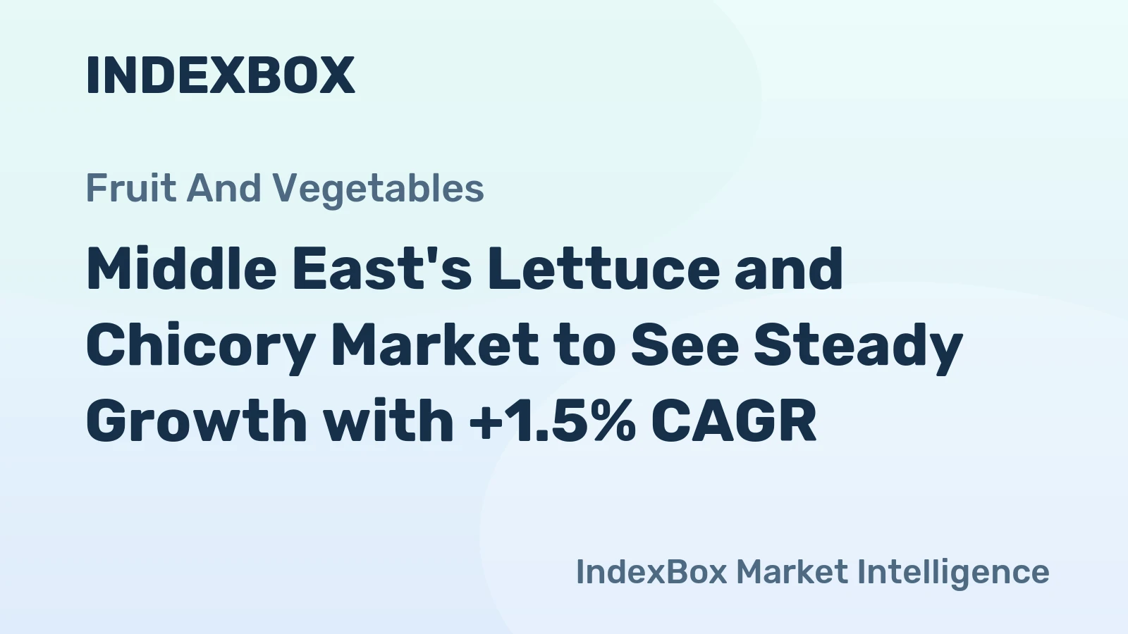 Middle East's Lettuce and Chicory Market to See Steady Growth with +1.5% CAGR