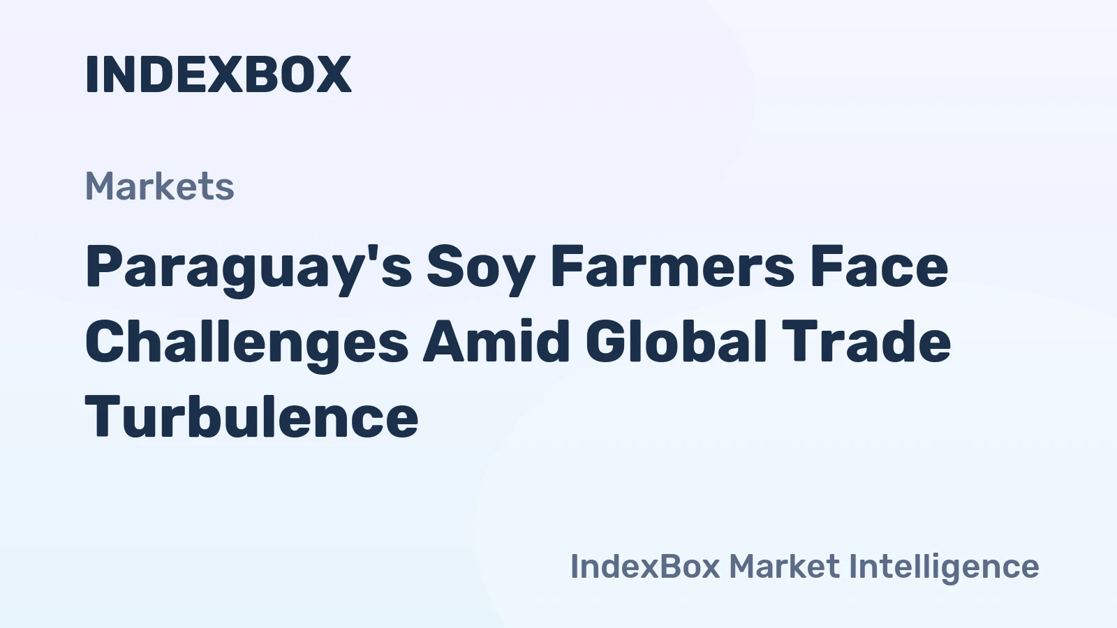 Paraguay's Soy Farmers Face Challenges Amid Global Trade Turbulence
