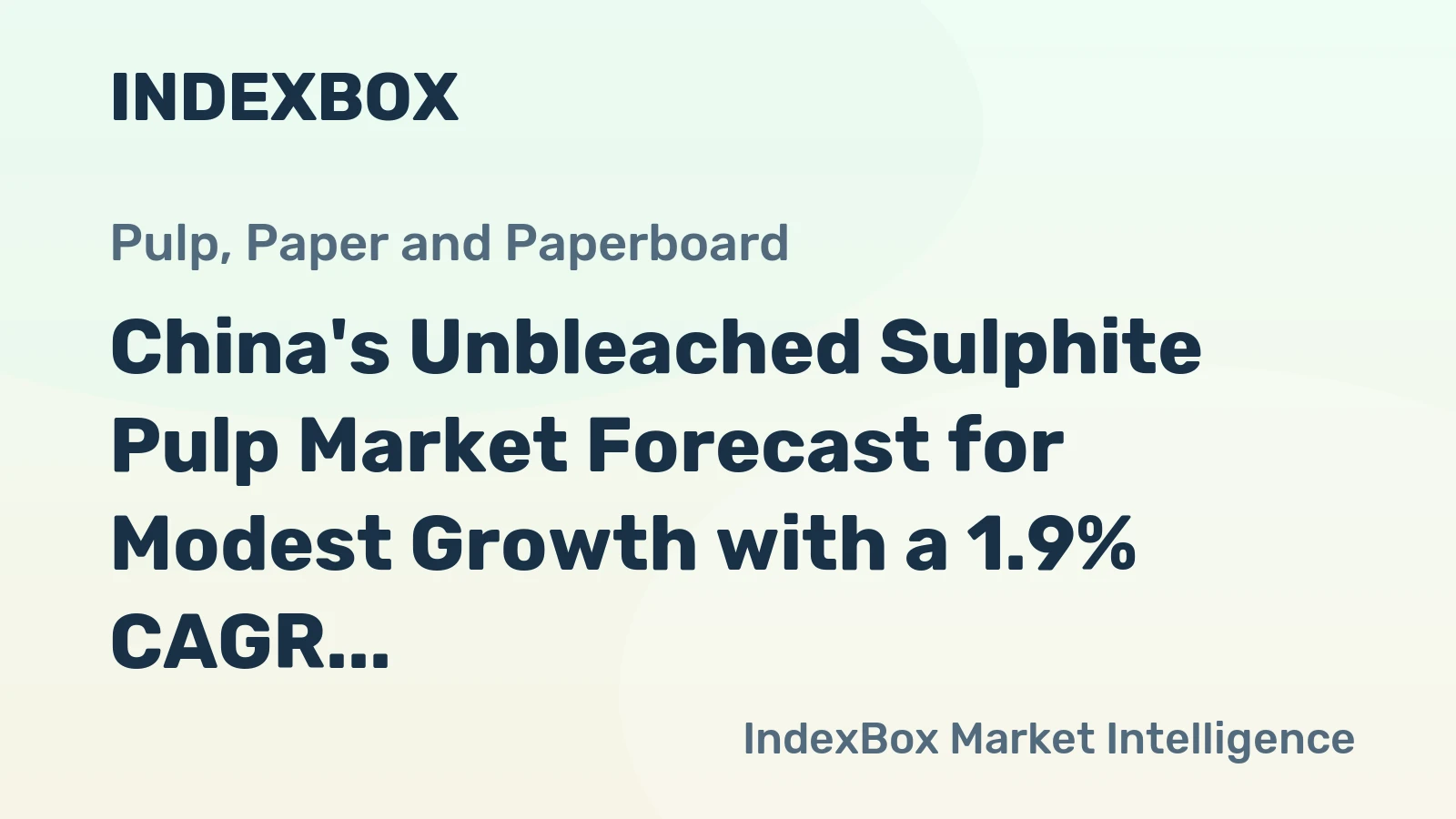 China's Unbleached Sulphite Pulp Market Forecast for Modest Growth with a 1.9% CAGR