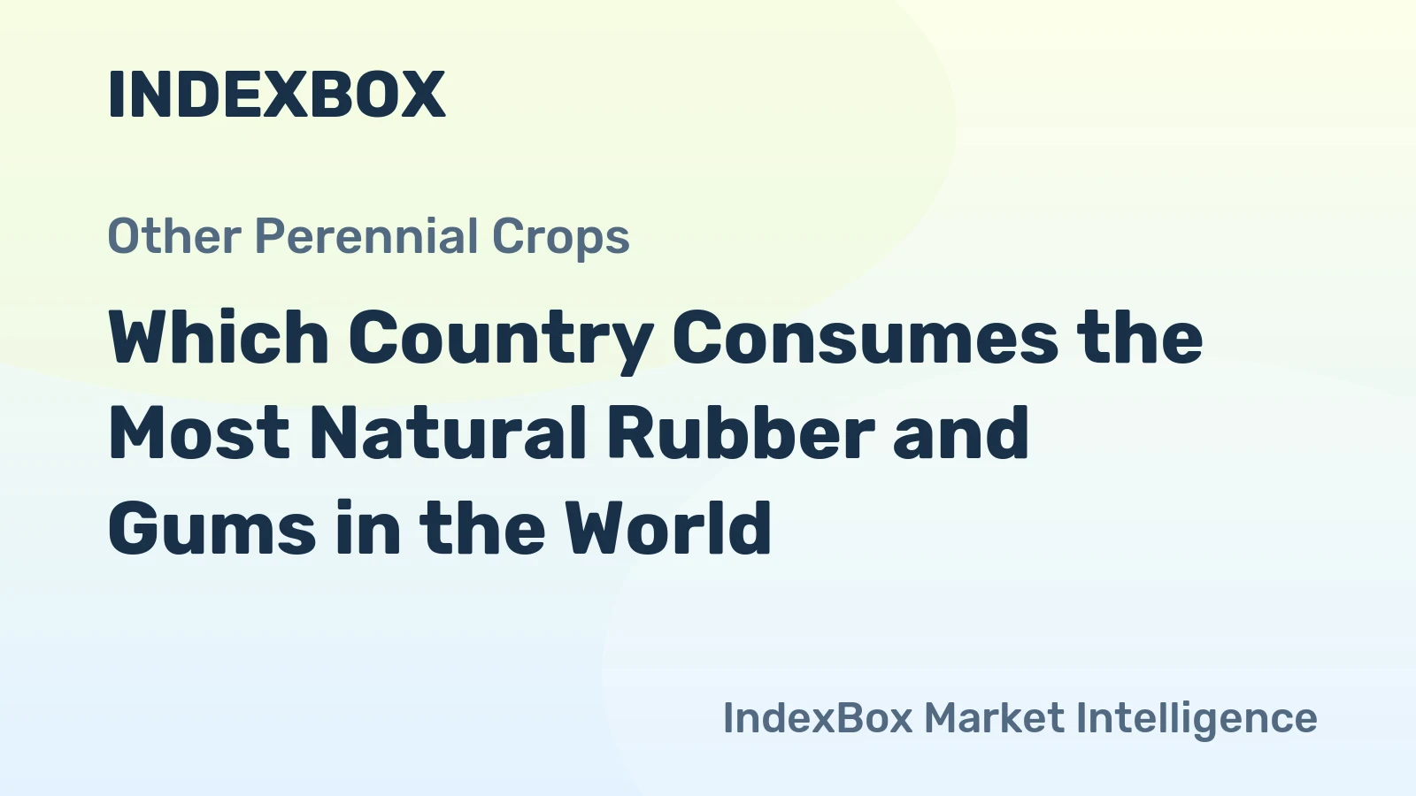 Which Country Consumes the Most Natural Rubber and Gums in the World?