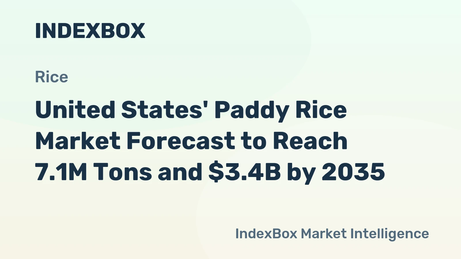 United States' Paddy Rice Market Forecast to Reach 7.1M Tons and $3.4B by 2035