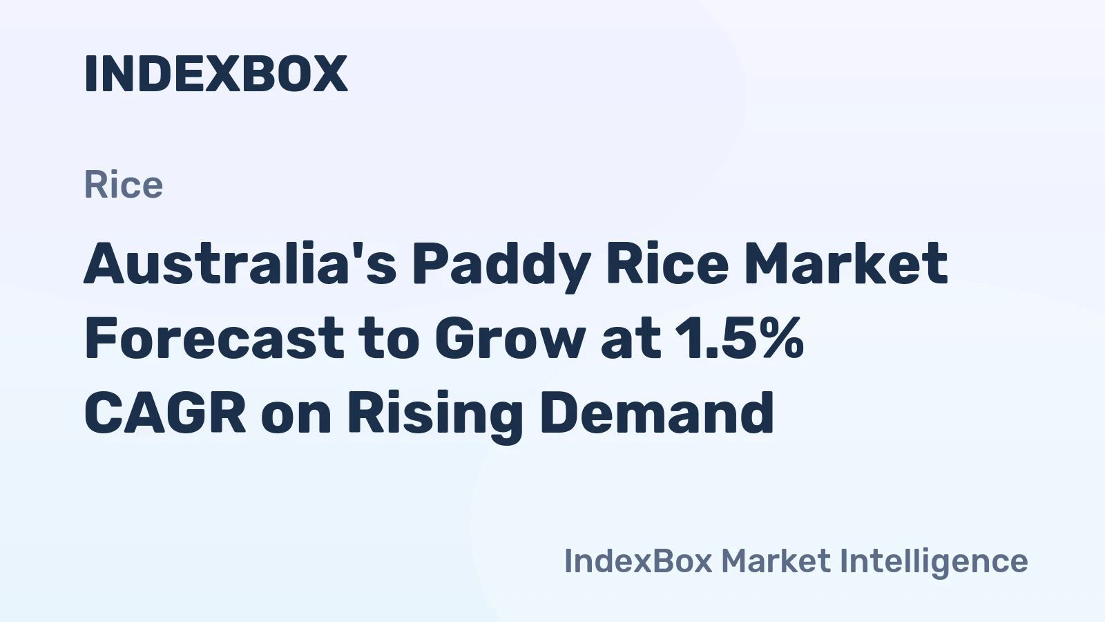 Australia's Paddy Rice Market Forecast to Grow at 1.5% CAGR on Rising Demand
