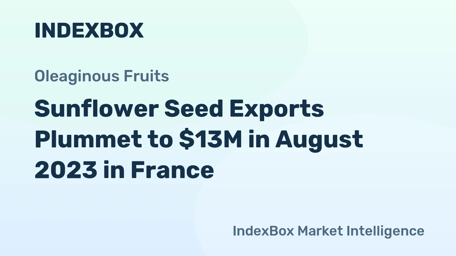 Sunflower Seed Exports Plummet to $13M in August 2023 in France