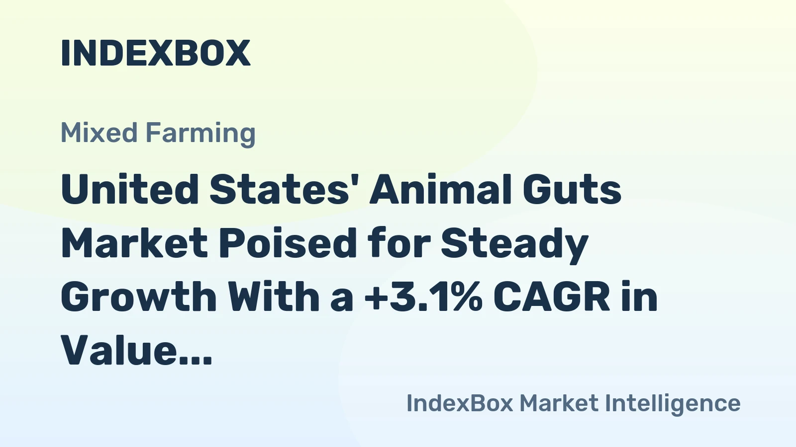 United States' Animal Guts Market Poised for Steady Growth With a +3.1% CAGR in Value
