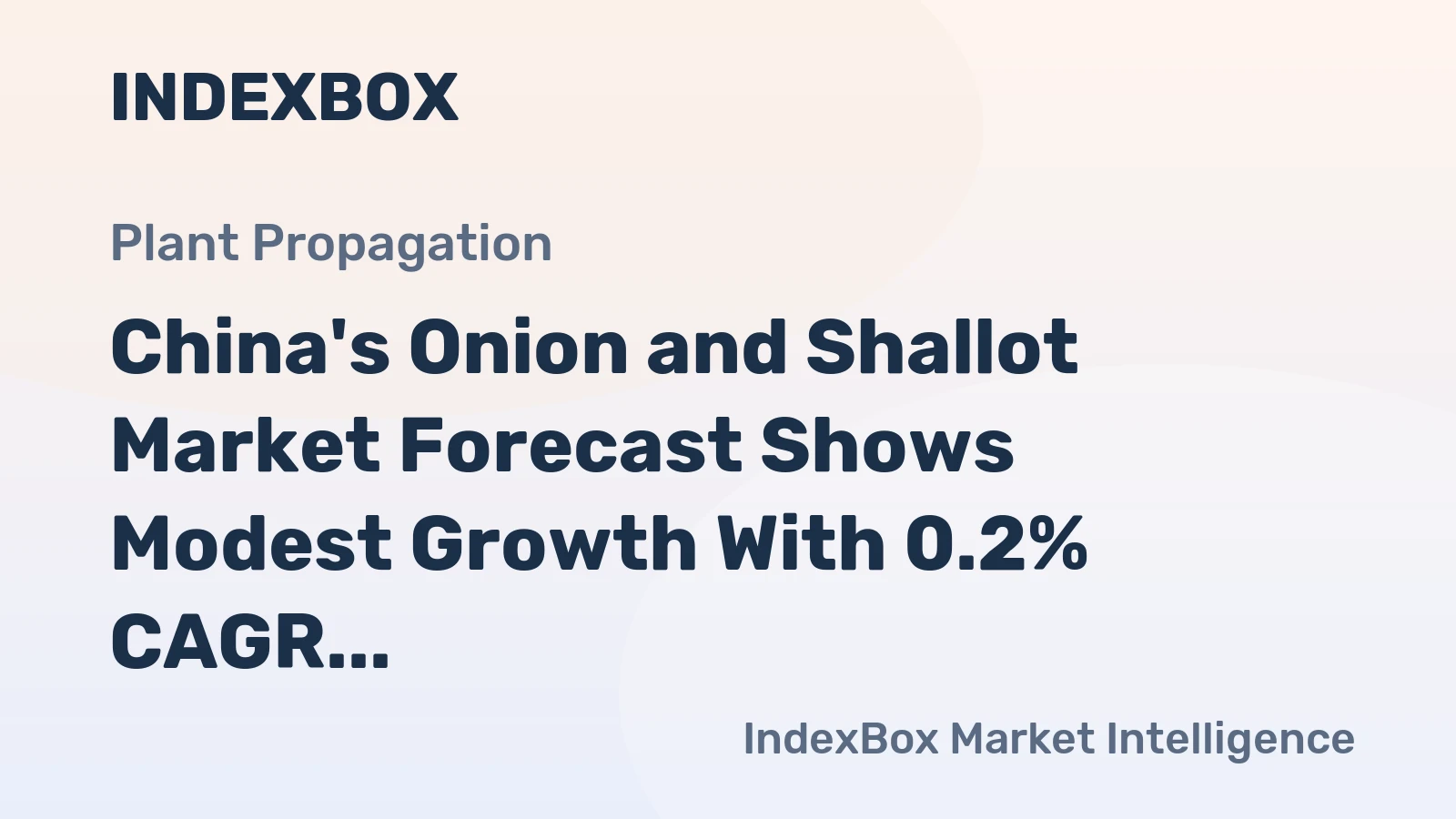 China's Onion and Shallot Market Forecast Shows Modest Growth With 0.2% CAGR Volume Increase