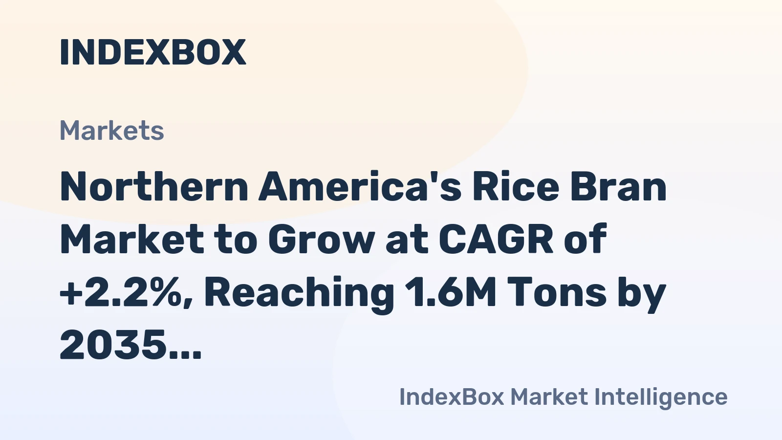Northern America's Rice Bran Market to Grow at CAGR of +2.2%, Reaching 1.6M Tons by 2035