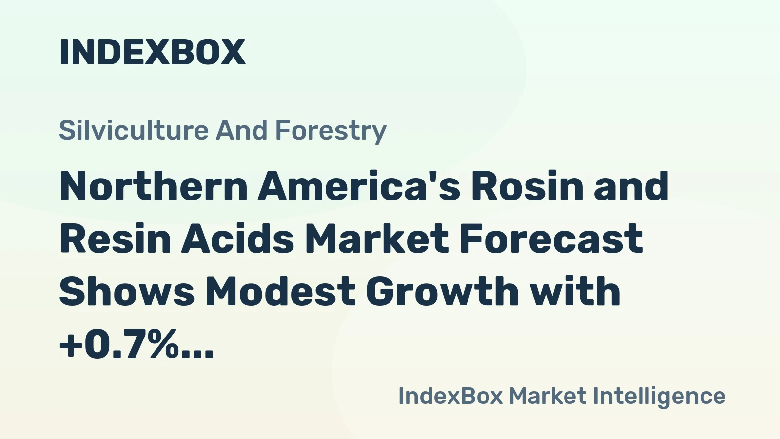 Northern America's Rosin and Resin Acids Market Forecast Shows Modest Growth with +0.7% CAGR in Value
