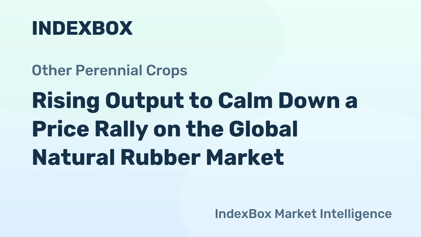 Rising Output to Calm Down a Price Rally on the Global Natural Rubber Market
