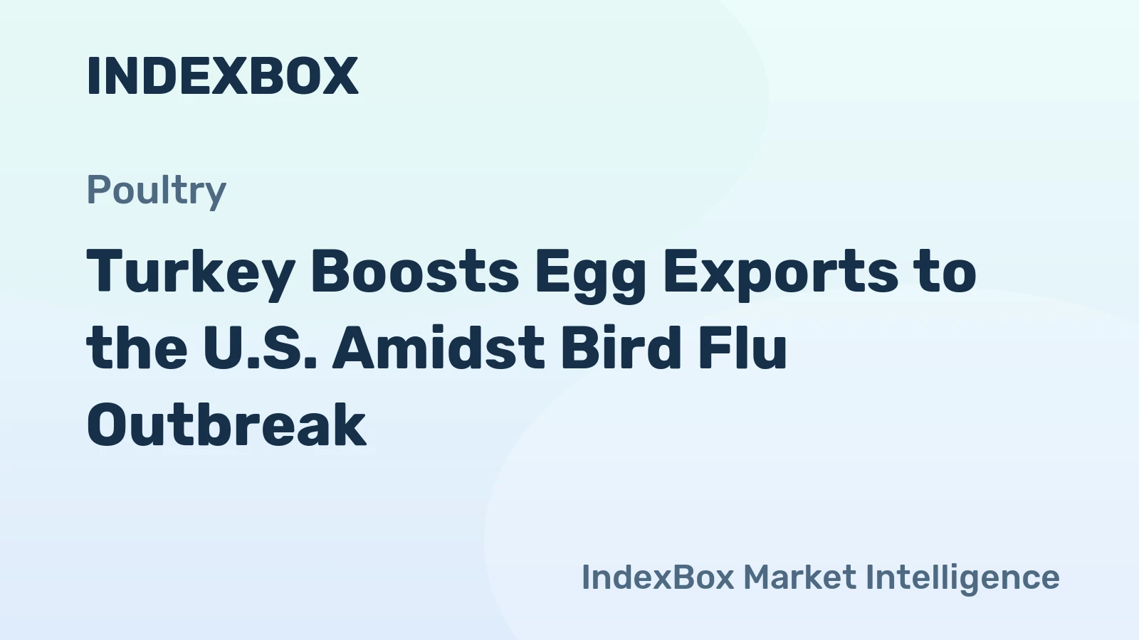 Turkey Boosts Egg Exports to the U.S. Amidst Bird Flu Outbreak