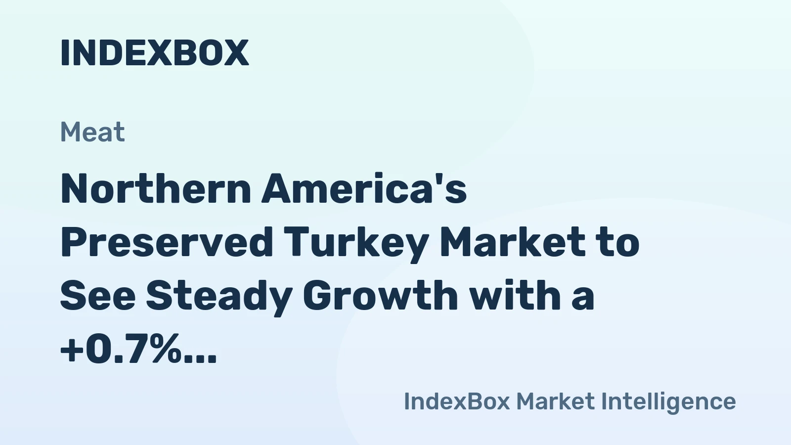 Northern America's Preserved Turkey Market to See Steady Growth with a +0.7% CAGR Through 2035