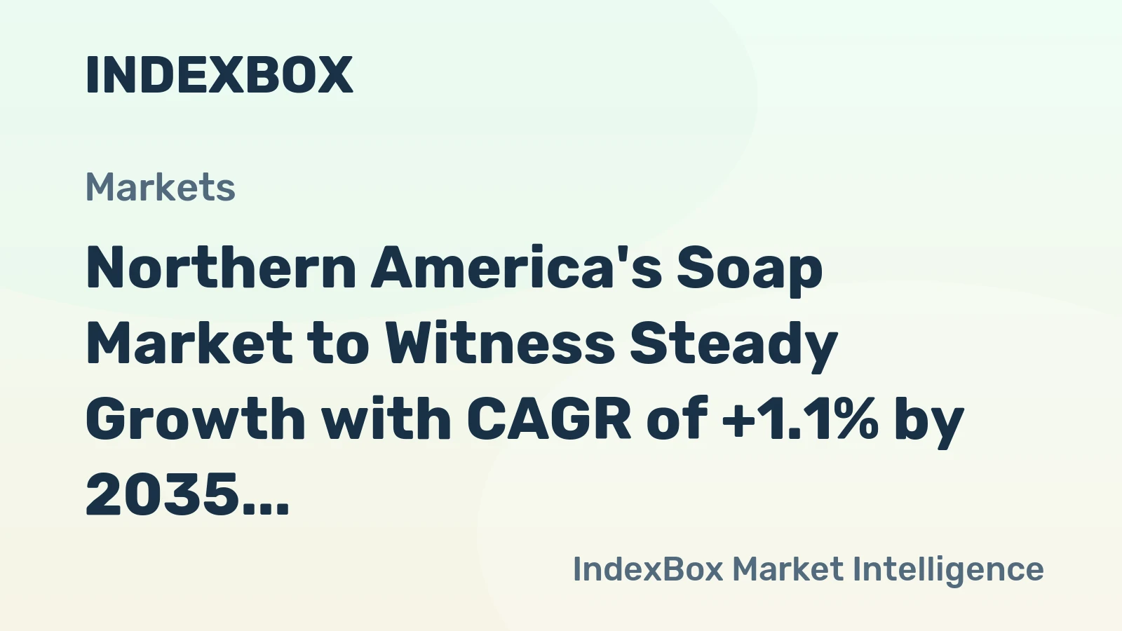 Northern America's Soap Market to Witness Steady Growth with CAGR of +1.1% by 2035
