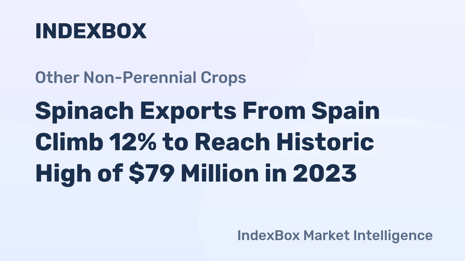 Spinach Exports From Spain Climb 12% to Reach Historic High of $79 Million in 2023