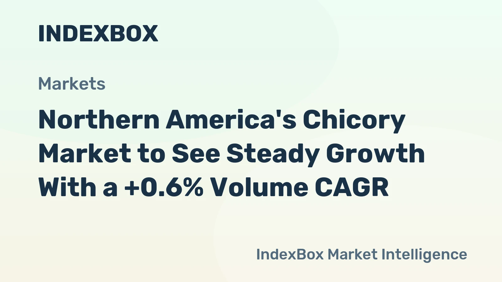 Northern America's Chicory Market to See Steady Growth With a +0.6% Volume CAGR