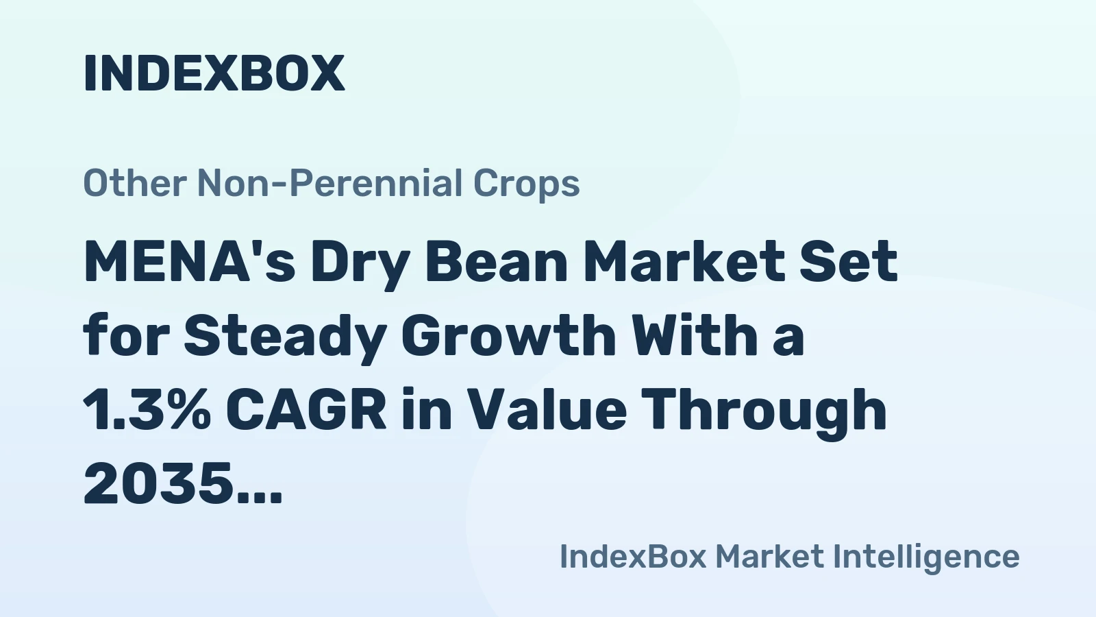 MENA's Dry Bean Market Set for Steady Growth With a 1.3% CAGR in Value Through 2035