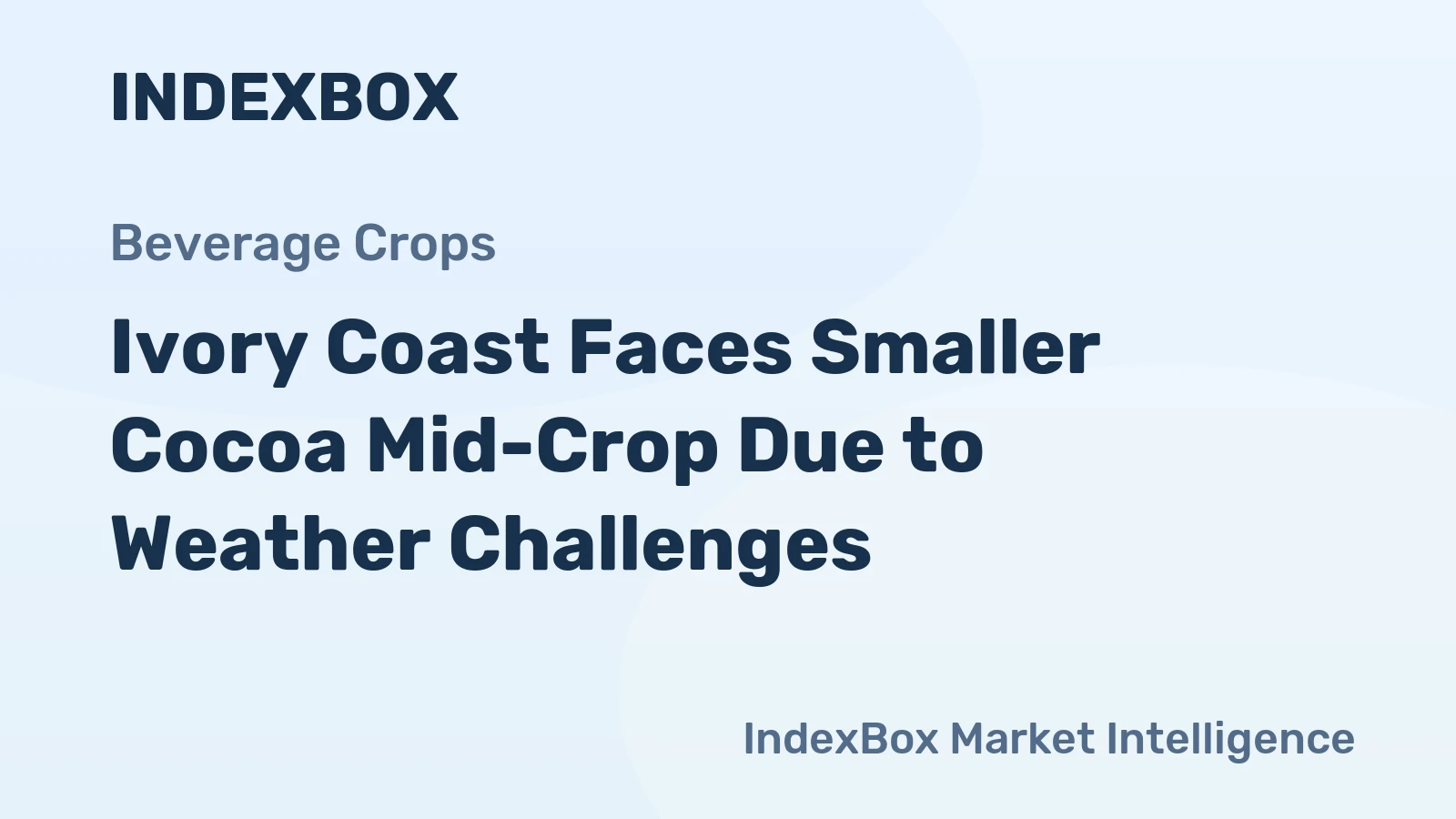 Ivory Coast Faces Smaller Cocoa Mid-Crop Due to Weather Challenges