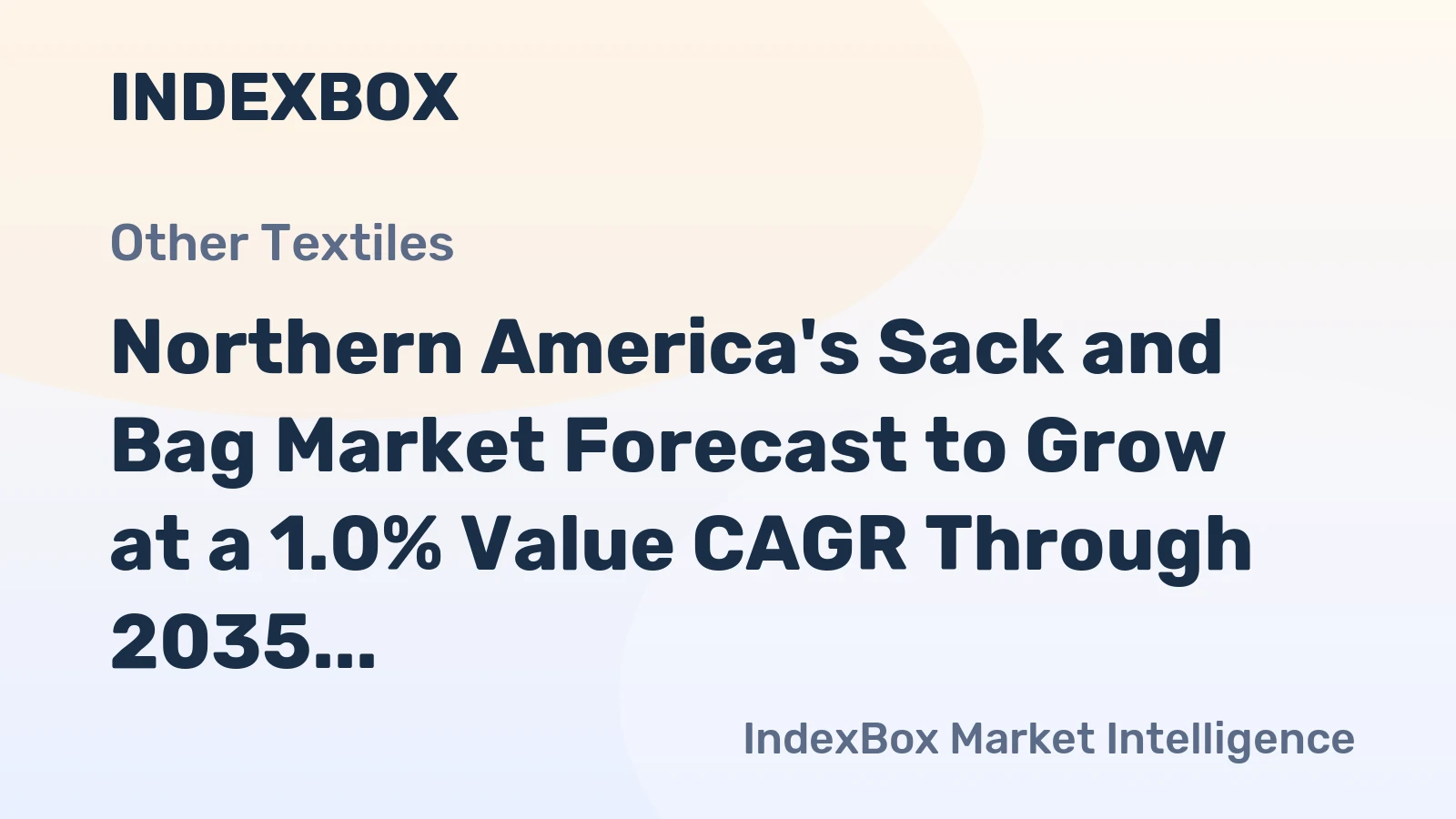 Northern America's Sack and Bag Market Forecast to Grow at a 1.0% Value CAGR Through 2035