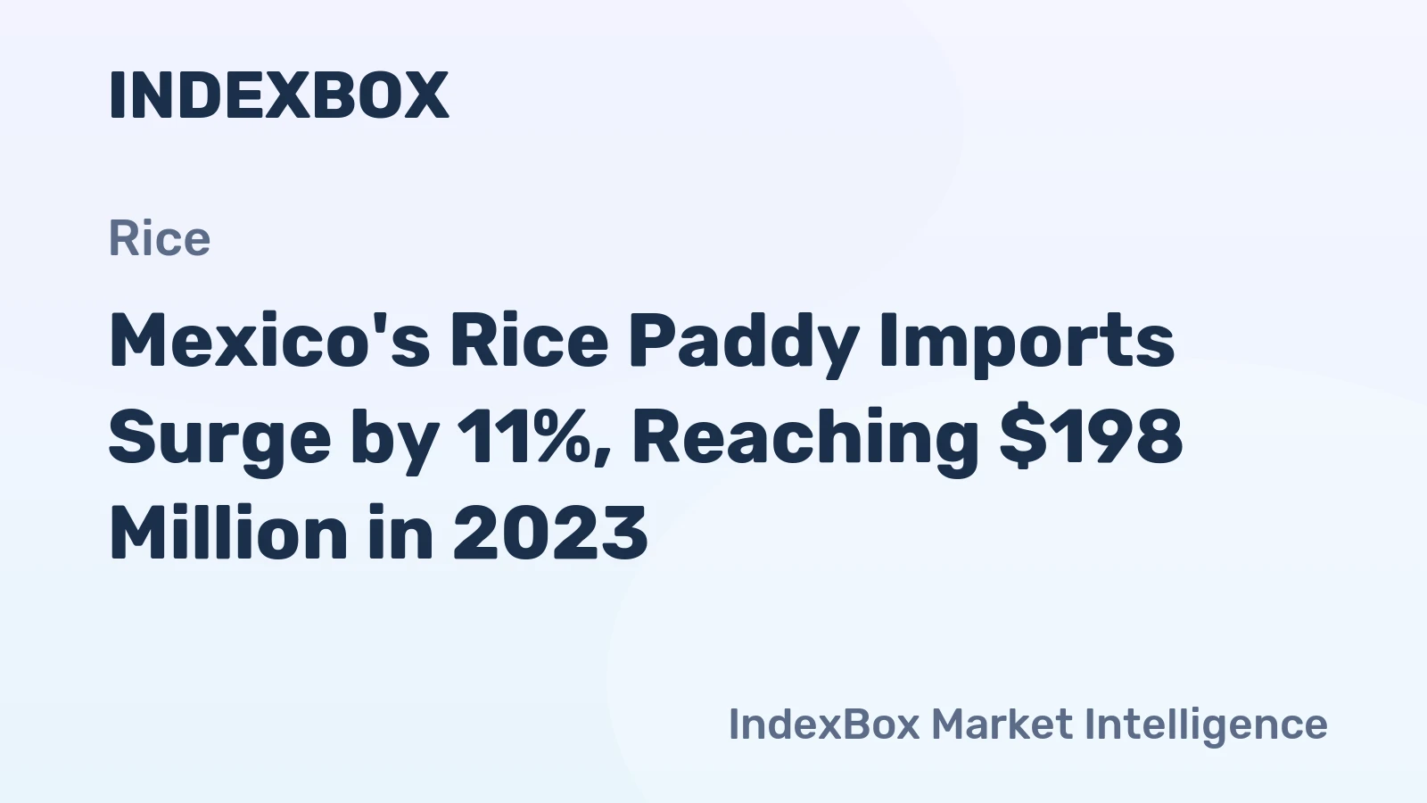 Mexico's Rice Paddy Imports Surge by 11%, Reaching $198 Million in 2023.