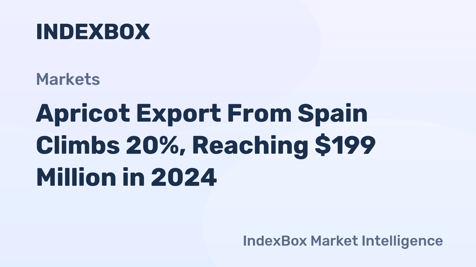 Apricot Export From Spain Climbs 20%, Reaching $199 Million in 2024