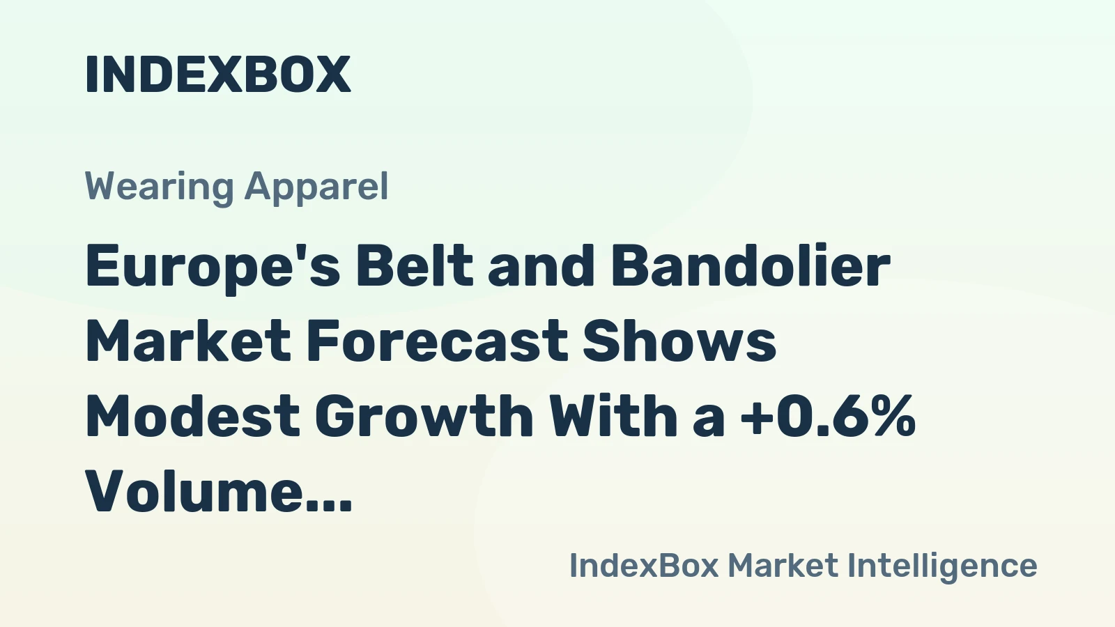 Europe's Belt and Bandolier Market Forecast Shows Modest Growth With a +0.6% Volume CAGR