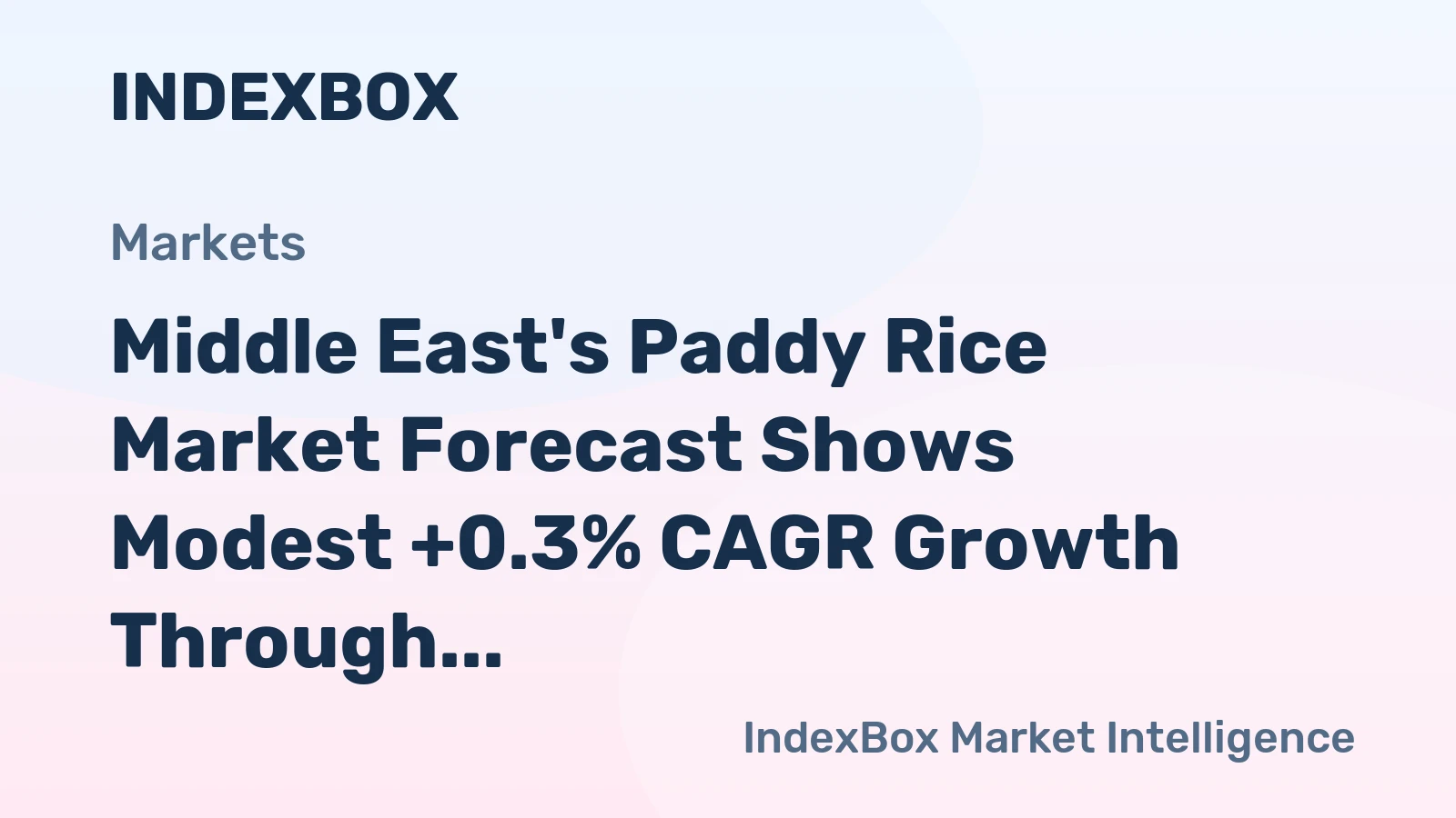Middle East's Paddy Rice Market Forecast Shows Modest +0.3% CAGR Growth Through 2035