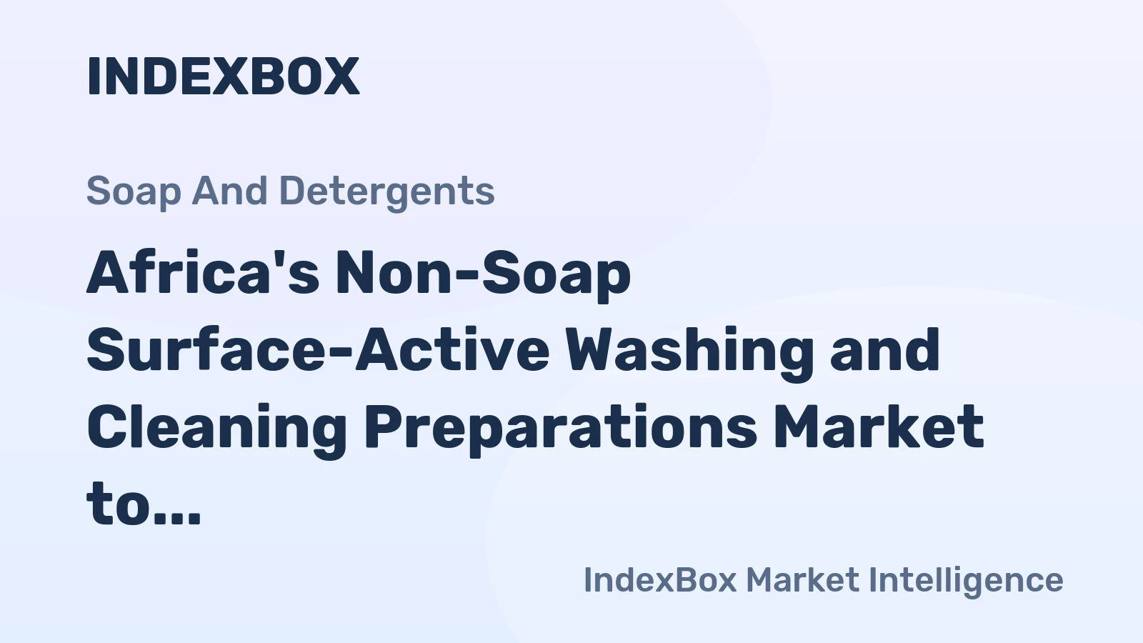 Africa's Non-Soap Surface-Active Washing and Cleaning Preparations Market to Grow at a CAGR of +1.5% from 2024 to 2035