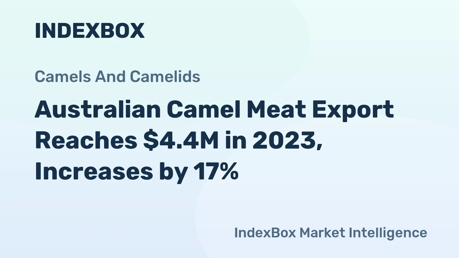 Australian Camel Meat Export Reaches $4.4M in 2023, Increases by 17%