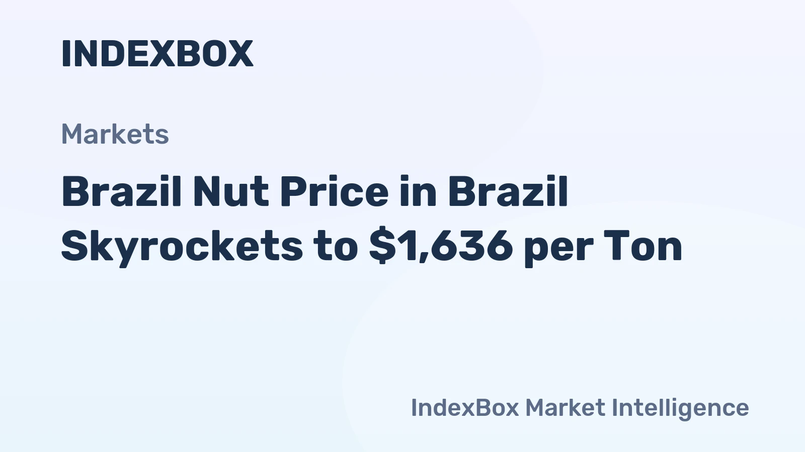 Brazil Nut Price in Brazil Skyrockets to $1,636 per Ton