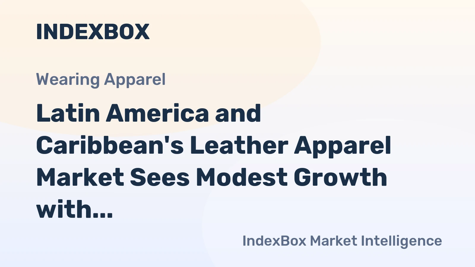 Latin America and Caribbean's Leather Apparel Market Sees Modest Growth with +0.5% CAGR