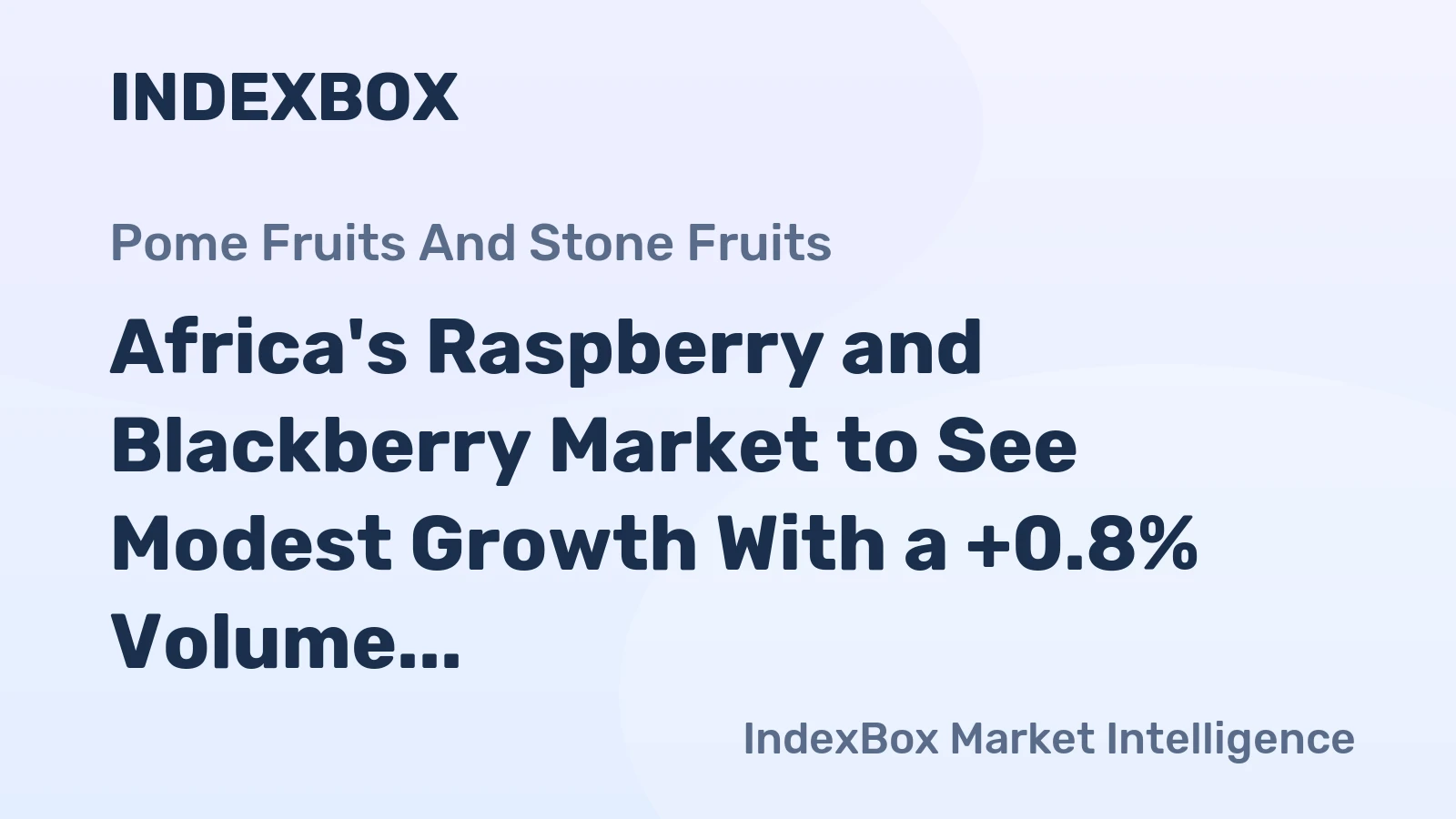 Africa's Raspberry and Blackberry Market to See Modest Growth With a +0.8% Volume CAGR