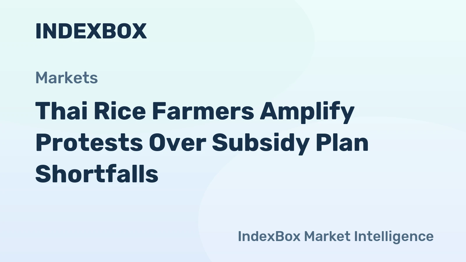 Thai Rice Farmers Amplify Protests Over Subsidy Plan Shortfalls