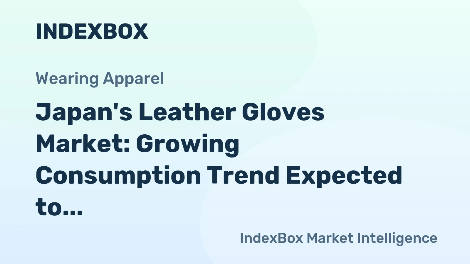 Japan's Leather Gloves Market: Growing Consumption Trend Expected to Reach 6M Pairs and $103M by 2035