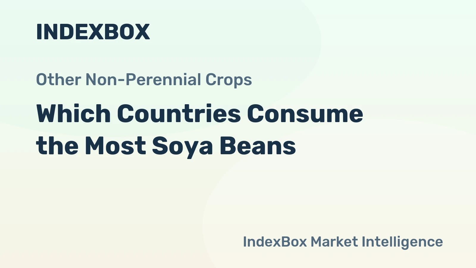 Which Countries Consume the Most Soya Beans?