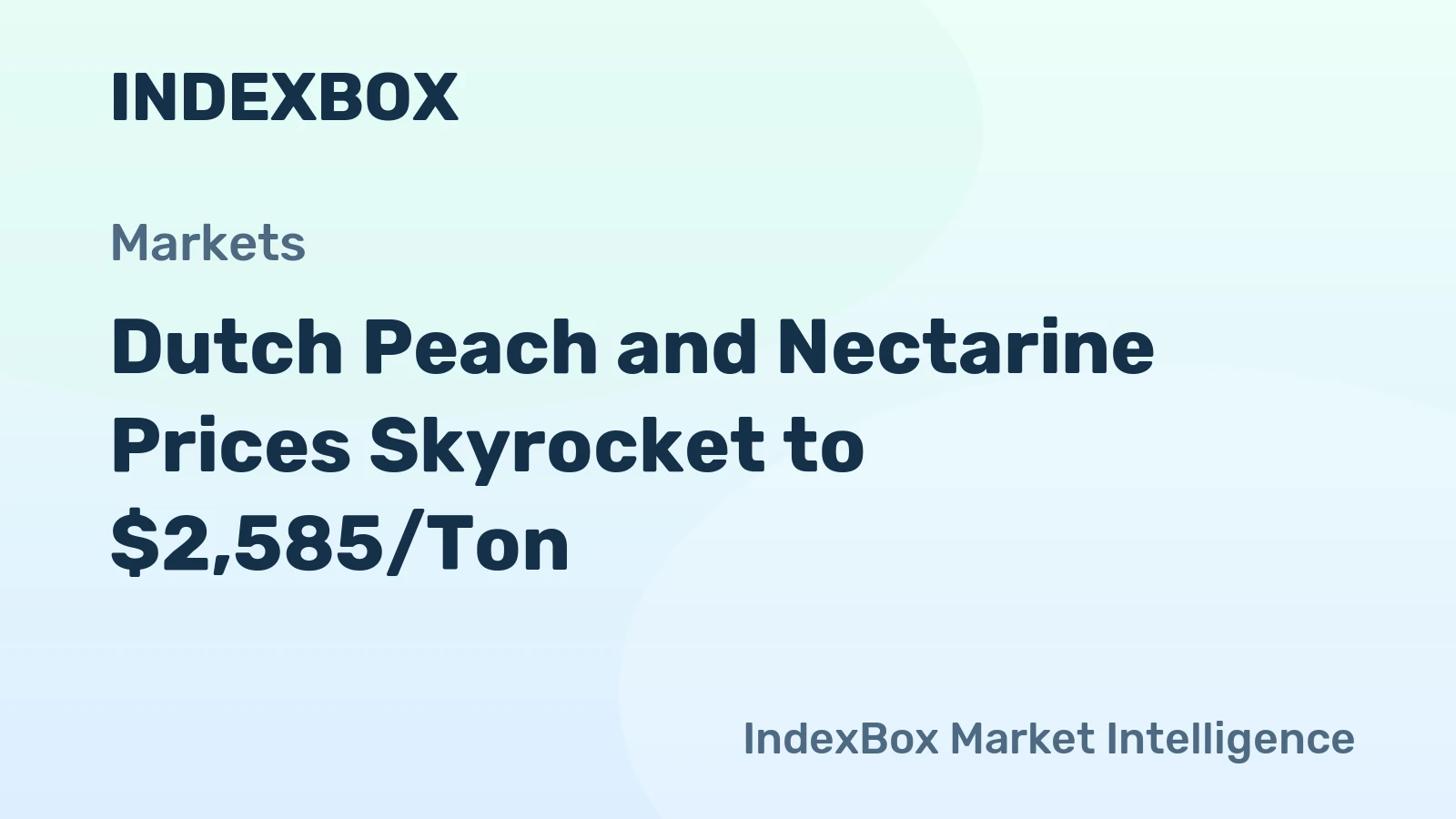Dutch Peach and Nectarine Prices Skyrocket to $2,585/Ton