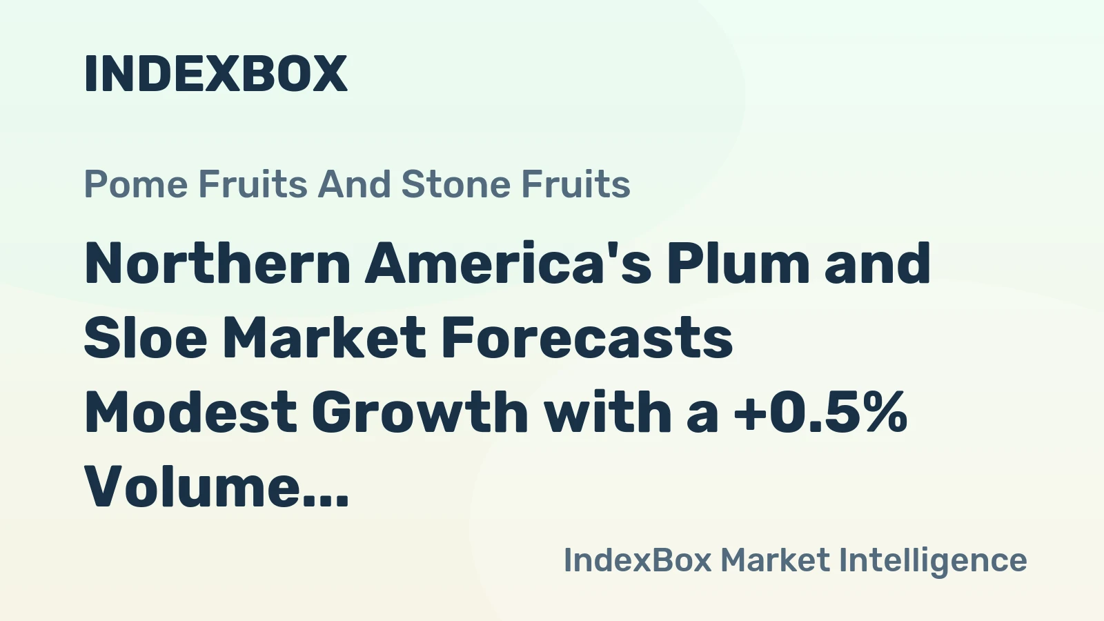 Northern America's Plum and Sloe Market Forecasts Modest Growth with a +0.5% Volume CAGR