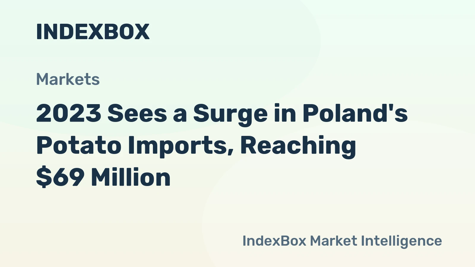 2023 Sees a Surge in Poland's Potato Imports, Reaching $69 Million
