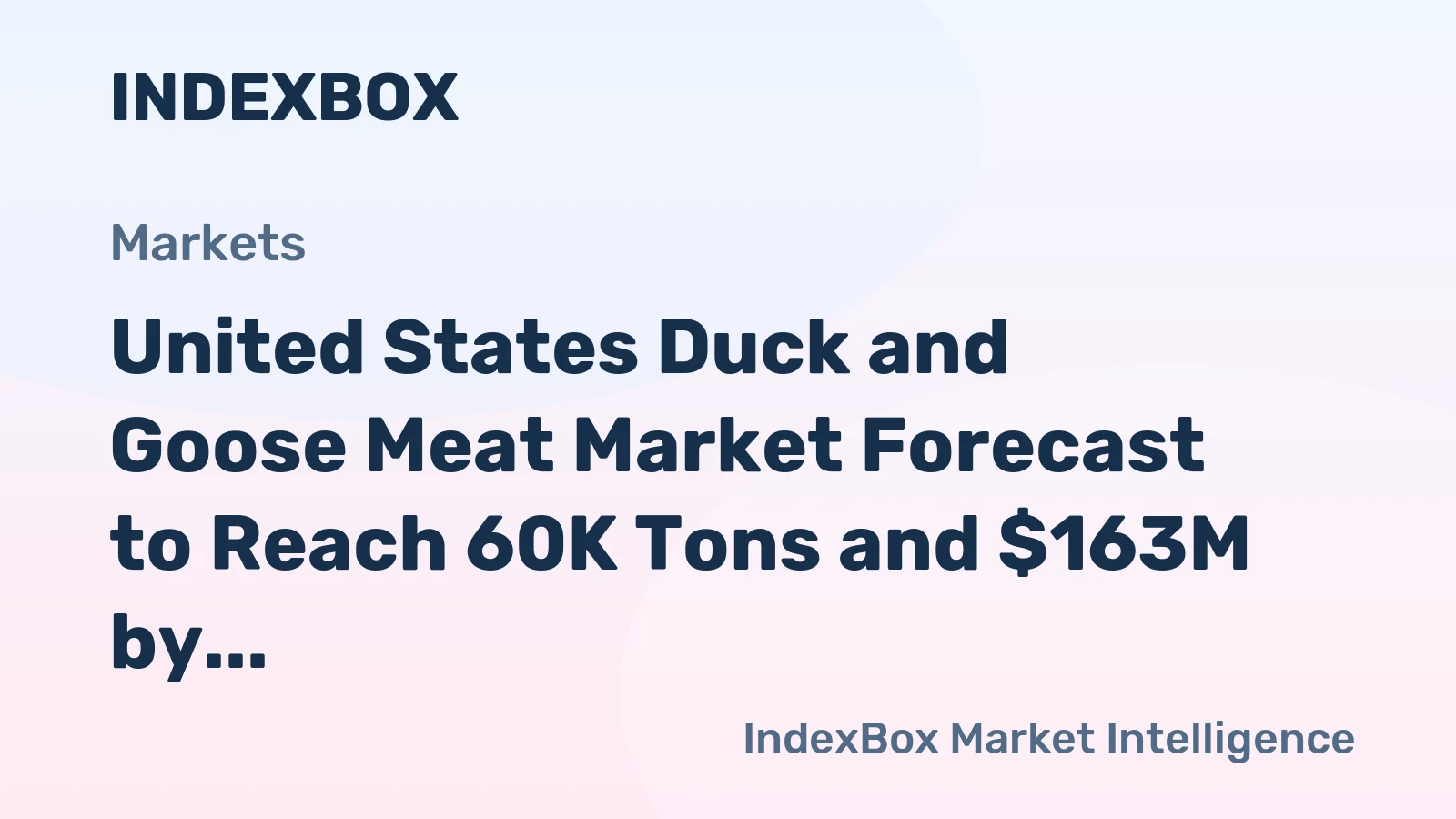 United States Duck and Goose Meat Market Forecast to Reach 60K Tons and $163M by 2035