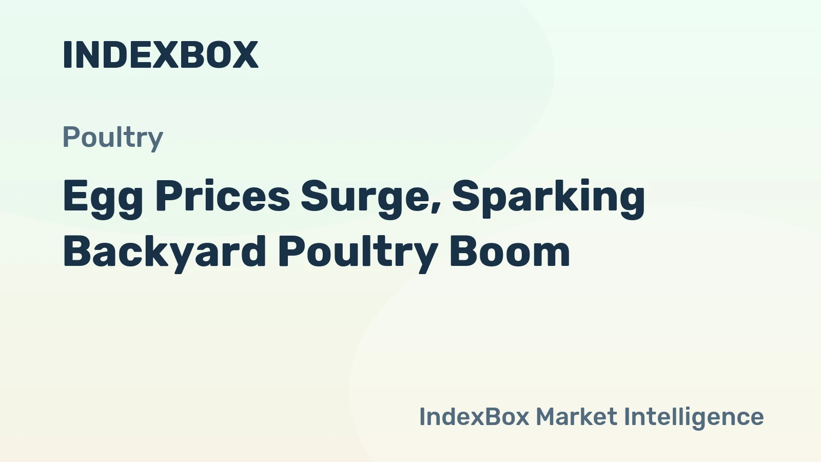 Egg Prices Surge, Sparking Backyard Poultry Boom